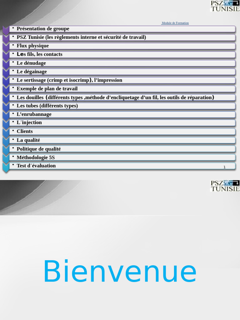 Présentation Final PSZ | PDF