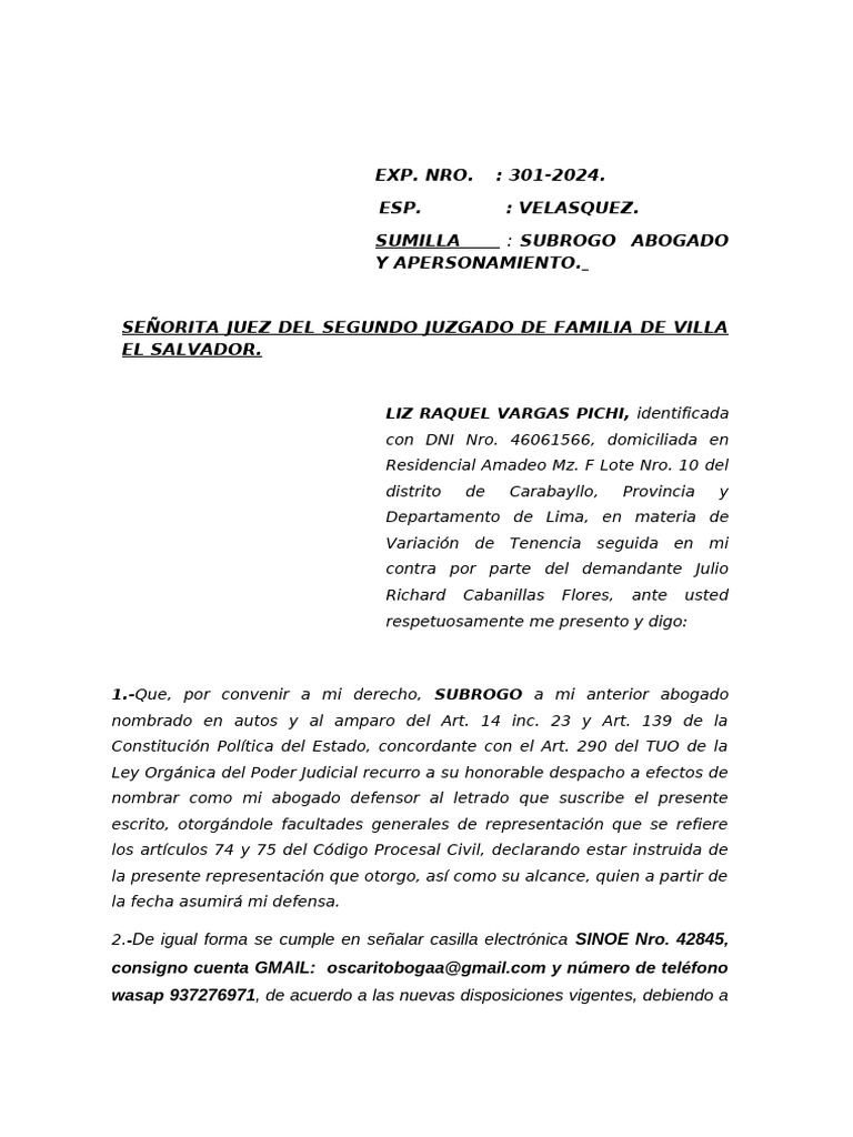 Apersonamiento Juz Liz | PDF