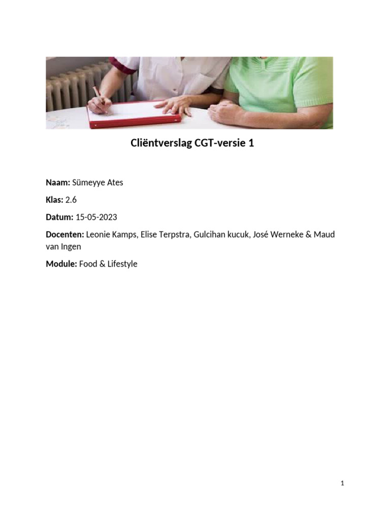 CGT Verslag | PDF