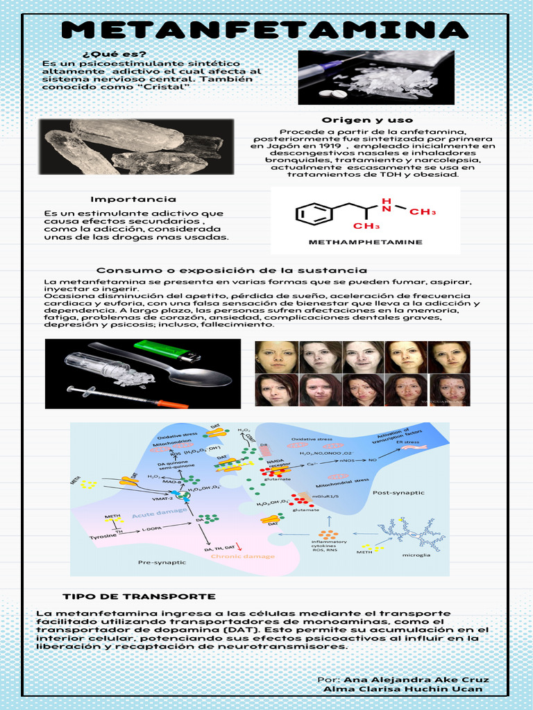 Efectos y transporte de la metanfetamina | PDF