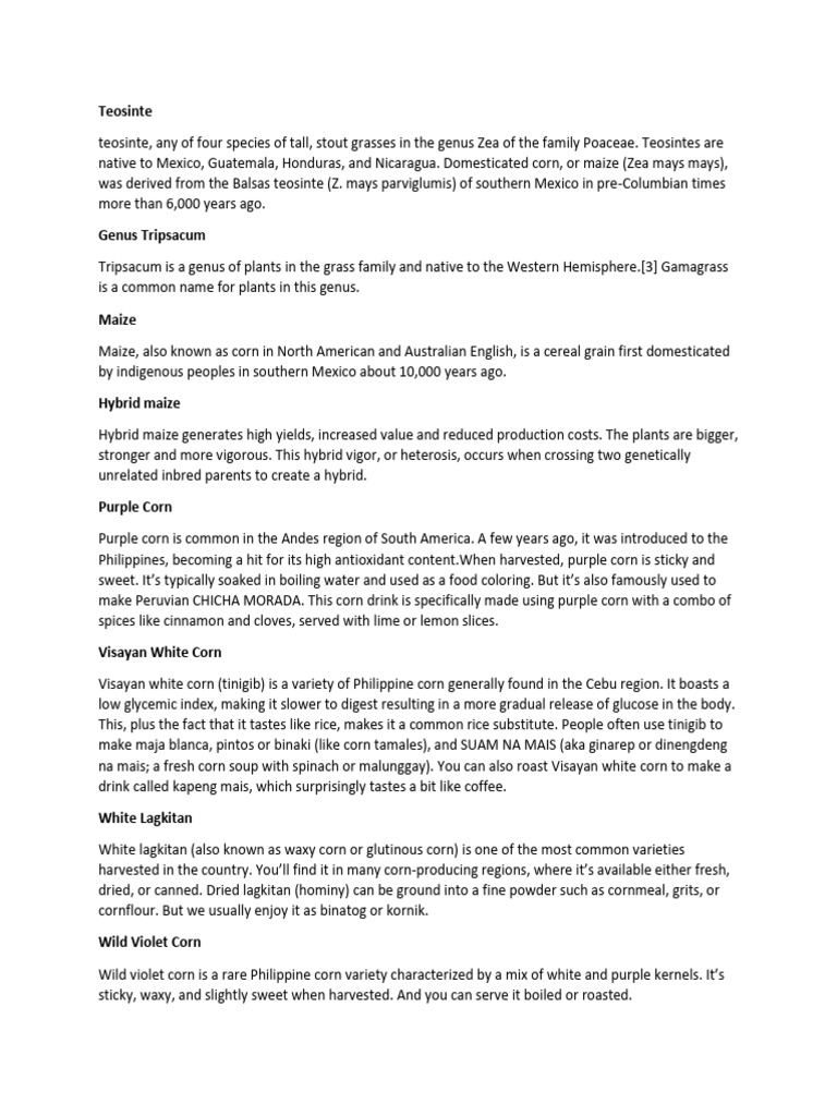 Evolution of Corn | PDF | Maize | Foods