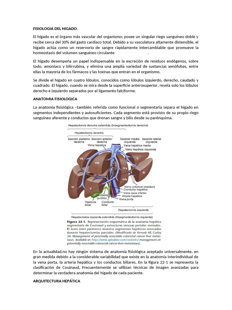 Fisiologia Higado, Riñon y Endocrino-1 | PDF | Riñón | Bilis
