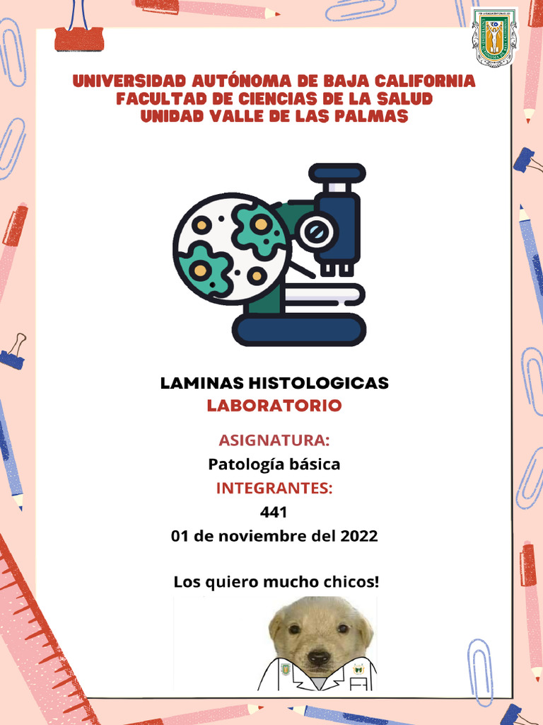 GUIA PATO LAB_merged | PDF | Inflamación | Triglicéridos