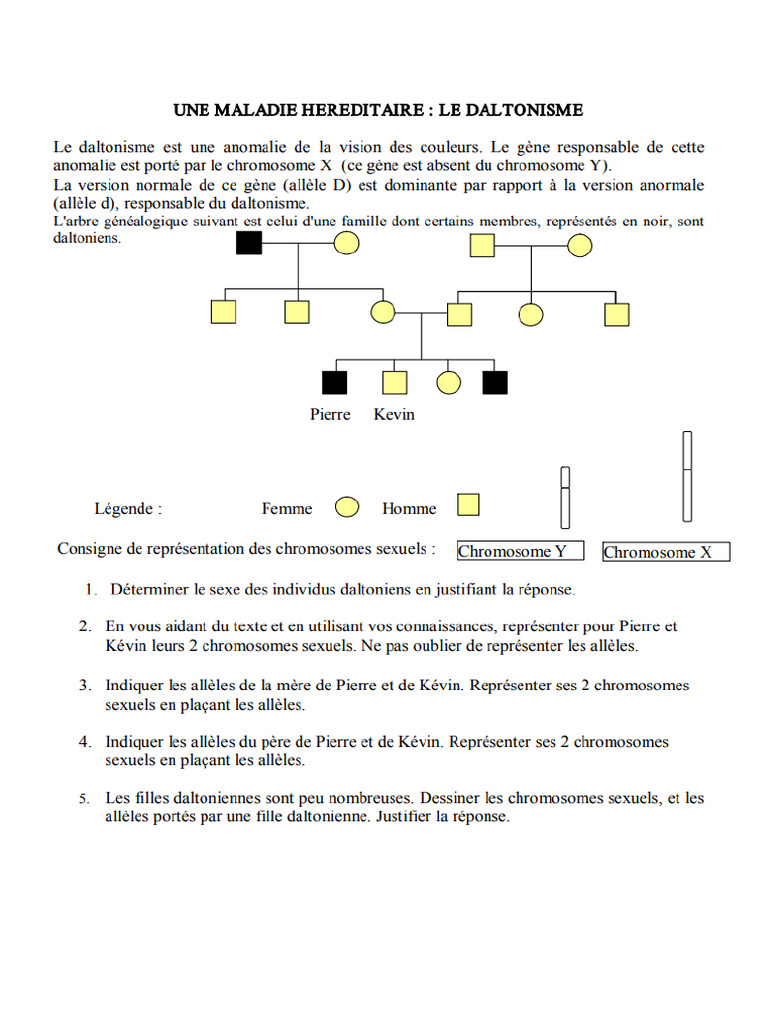 Exercice Daltonisme | PDF