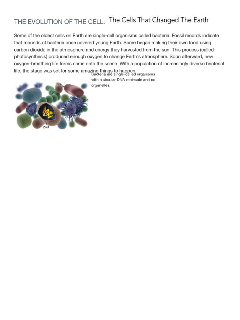 THE EVOLUTION OF THE CELL Class Copy.docx | PDF