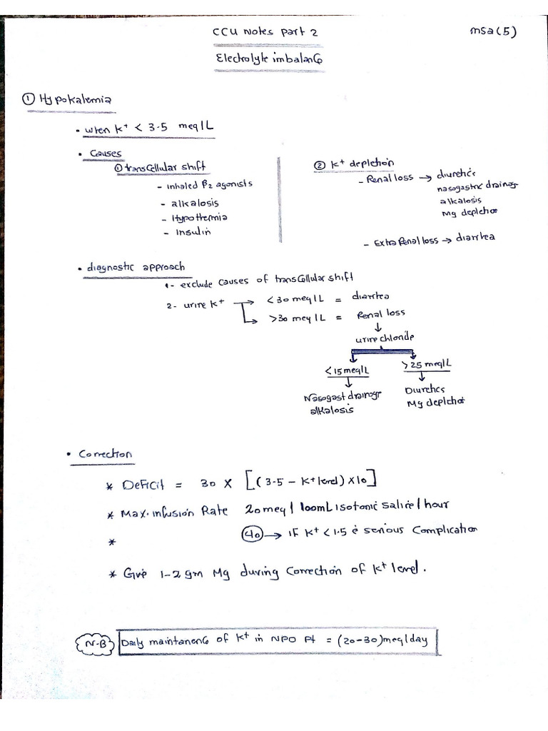 CCU Notes Part 2 Electrolytes | PDF