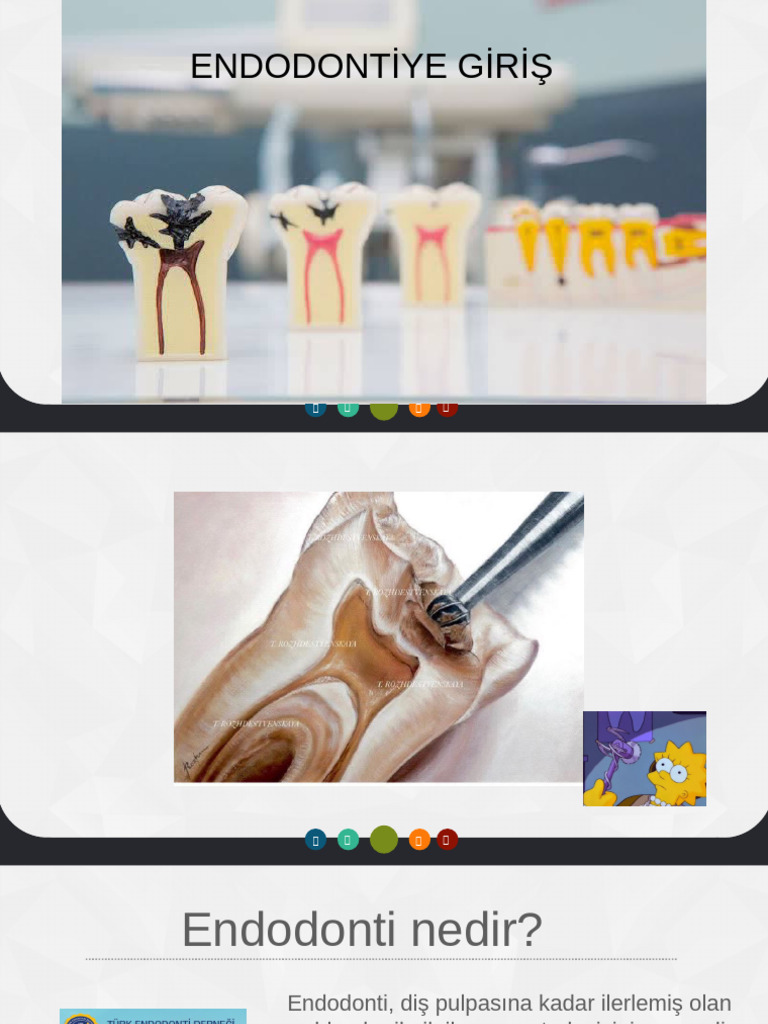 ENDODONTİ DERS 1 - Endodontiye Giriş Ve Pulpa Biyolojisi | PDF