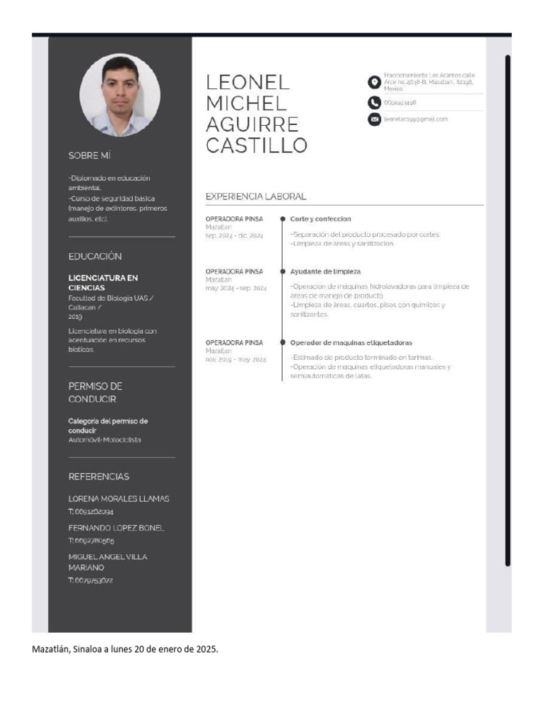 curriculum leonel (1) | PDF