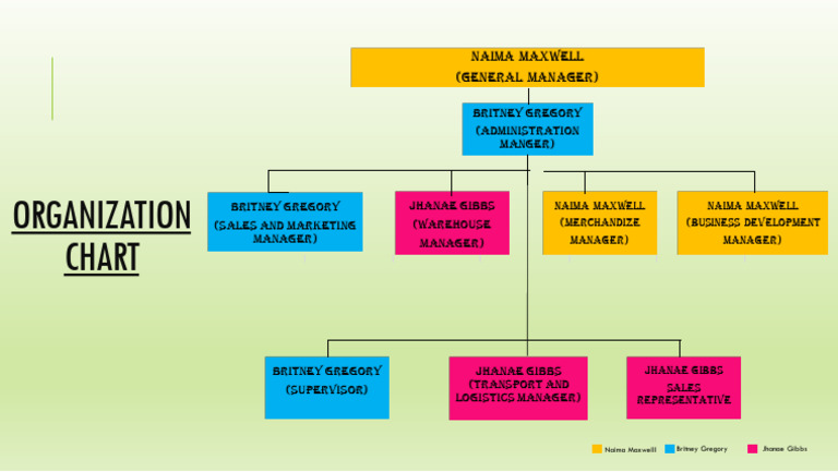 Organization Chart | PDF
