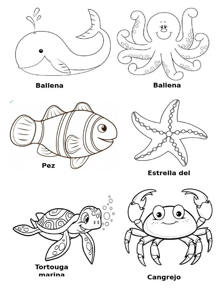 Animales Acuaticos 6 Por Hoja | PDF