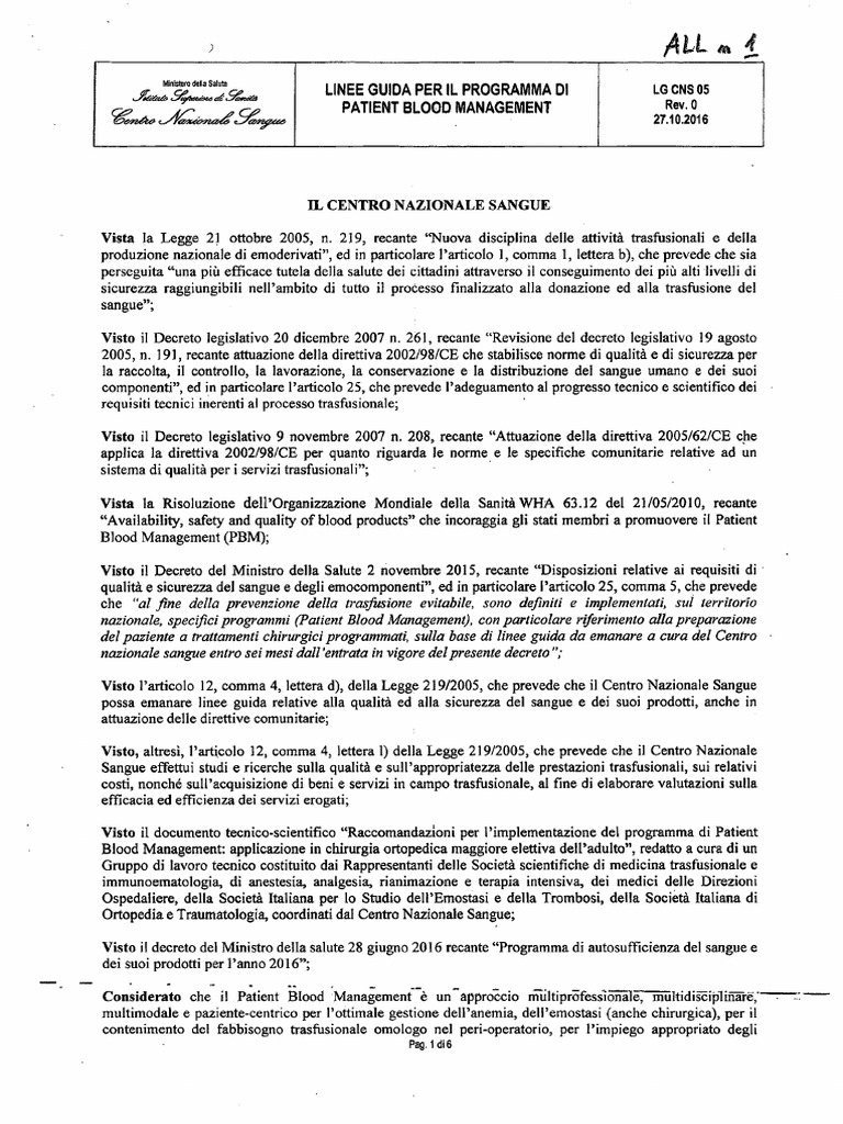 Linee Guida Per Il Programma Di Patient Blood Management | PDF
