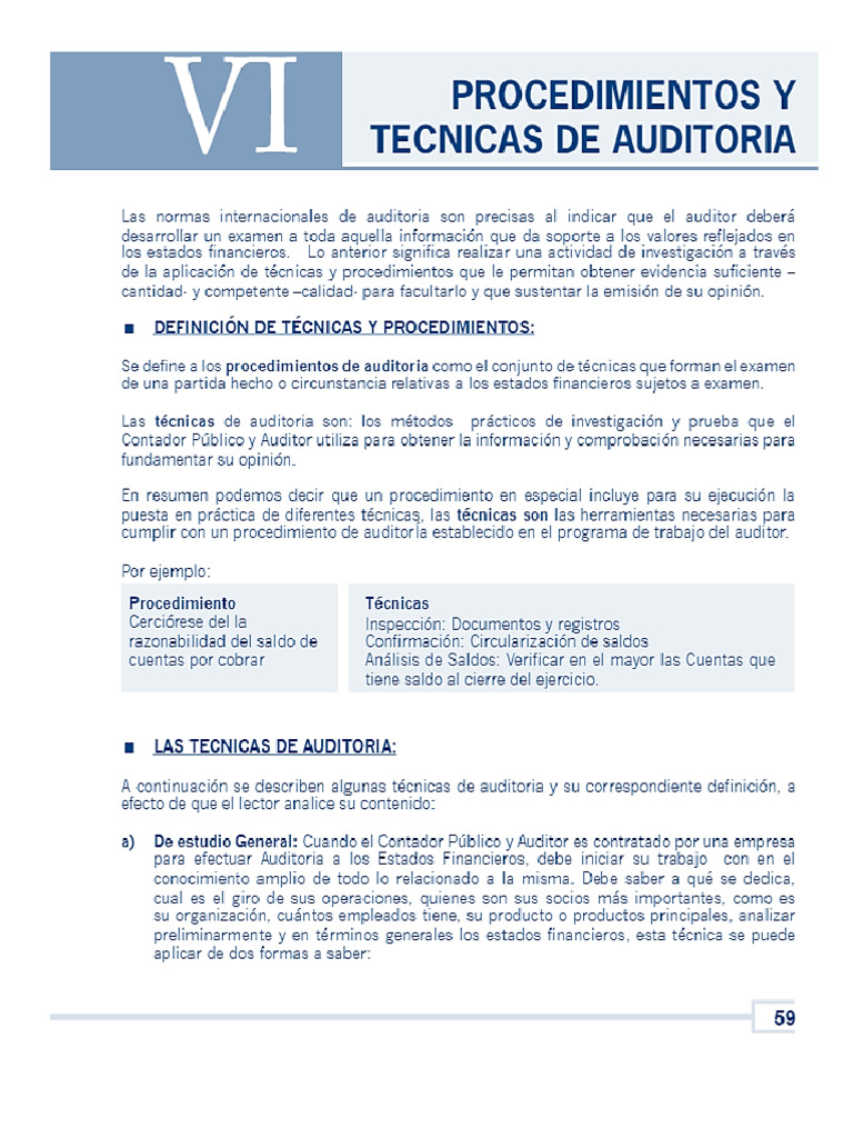 Procedimientos y Tecnicas de Auditoria-Programas | PDF