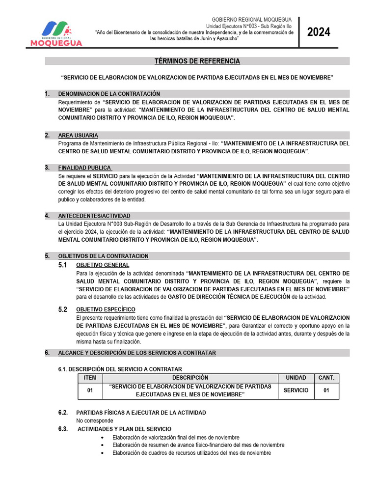 TDR-Asistente tecnico | PDF