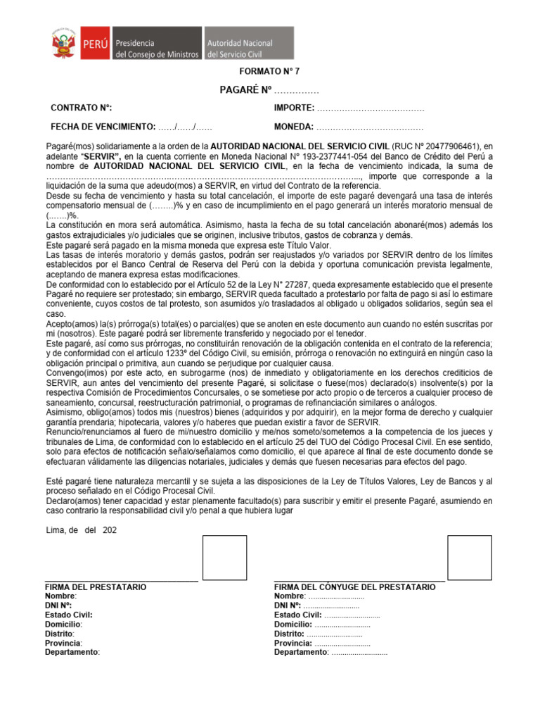 Formato 7 - Pagare | PDF