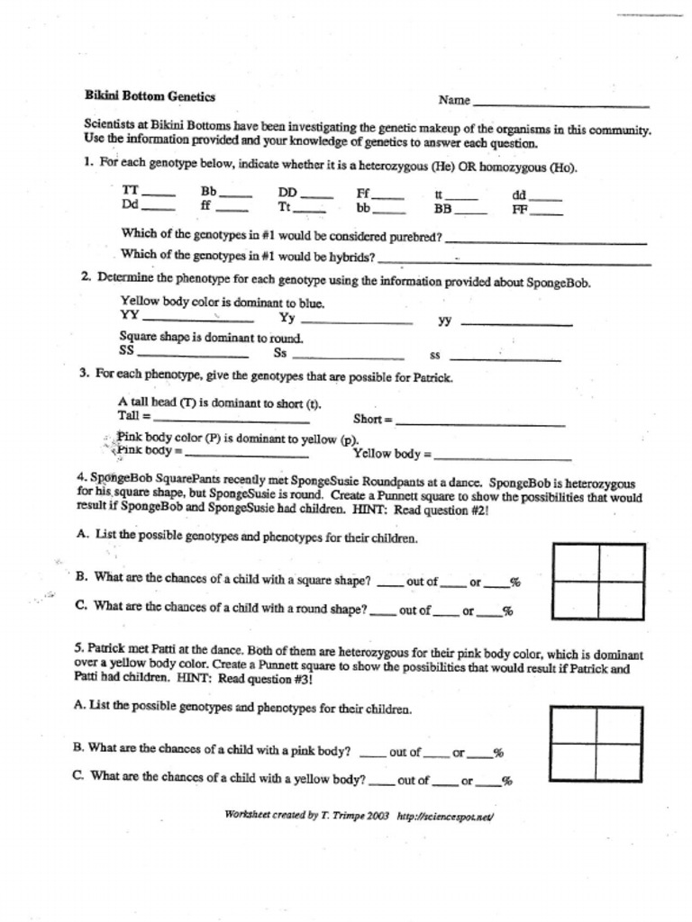 Mod10 L1 Monohybrid Spongebob Genetics | PDF