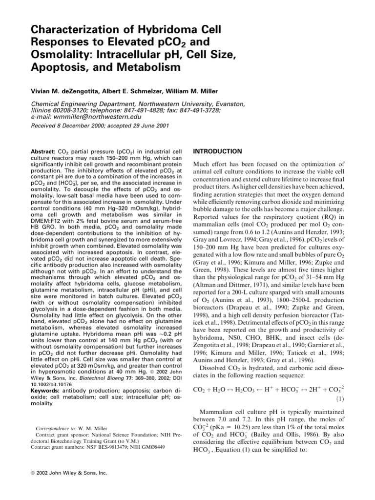 Characterization of Hybridoma Cell Responses To Elevated pCO2 and ...