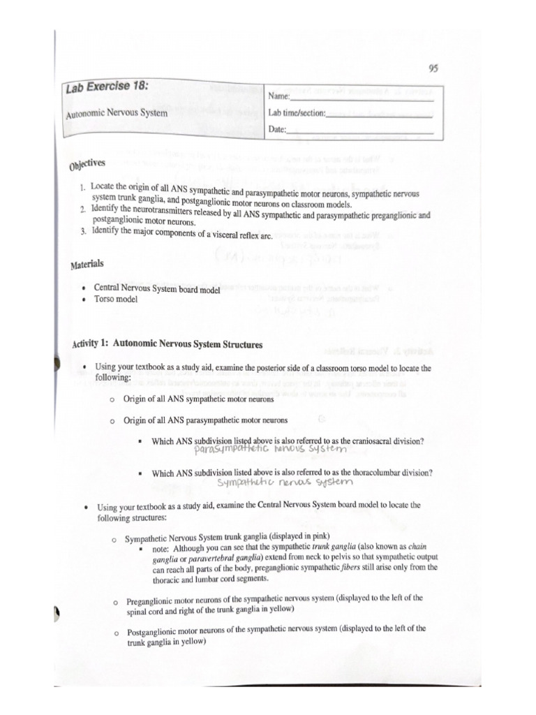 (Lab Exercise 18 | PDF