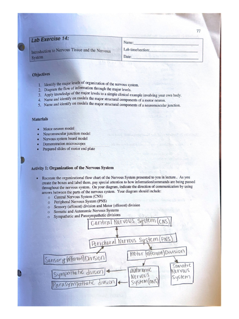 Lab Exercise 14 | PDF