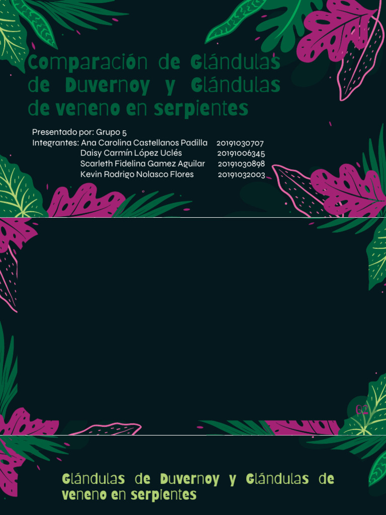 Glándulas de Duvernoy en Serpientes | PDF | Serpiente | Diente