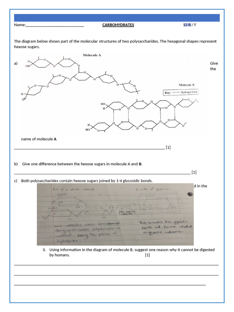 Carbohydrate Quiz | PDF