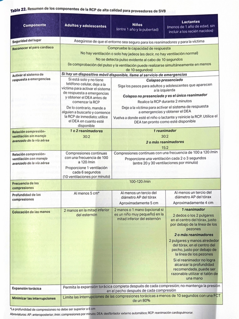 RCP Básico 2023 | PDF