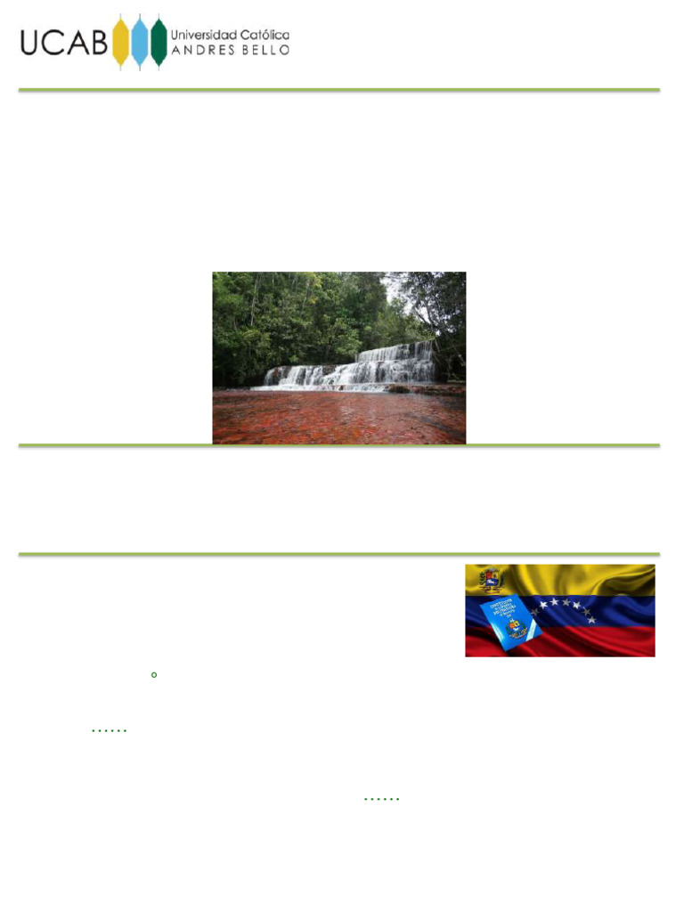 Ecosistemas bienes y servicios ABRAE | PDF | Ecología | Coral