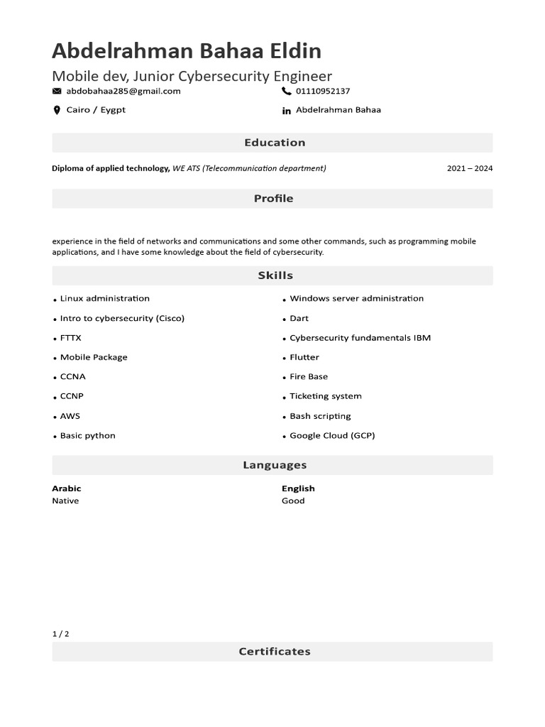 Abdelrahman BahaaEldin CV | PDF | Computer Network | Computer Security