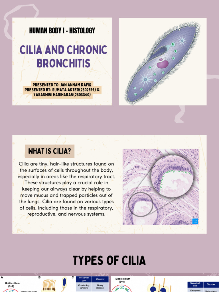 Histology Cilia and Bronchitis | PDF | Bronchitis | Respiratory Diseases