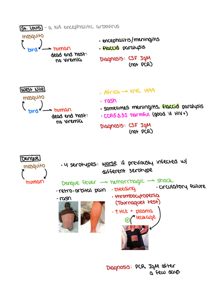 Vector-Borne (Mosquito) Viral Infections | PDF