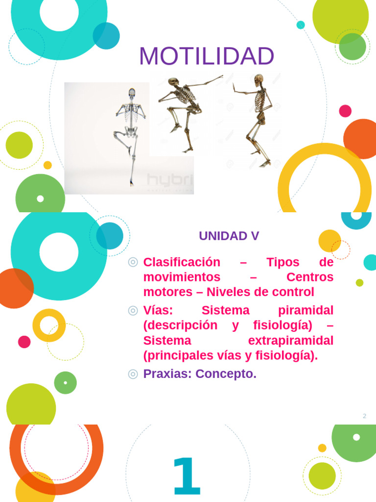 Clasificación y Control de la Motilidad | PDF | Cerebro | Cerebelo