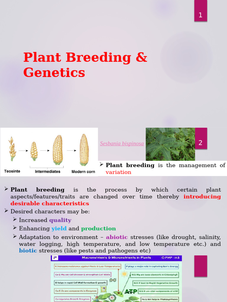 Plant Breeding and Genetics (BT402) | PDF | Plant Breeding | Plant ...
