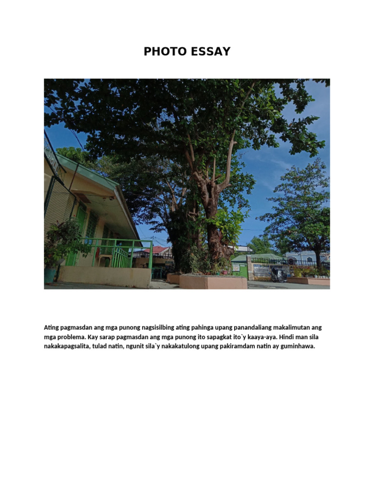 Photo Essay | PDF