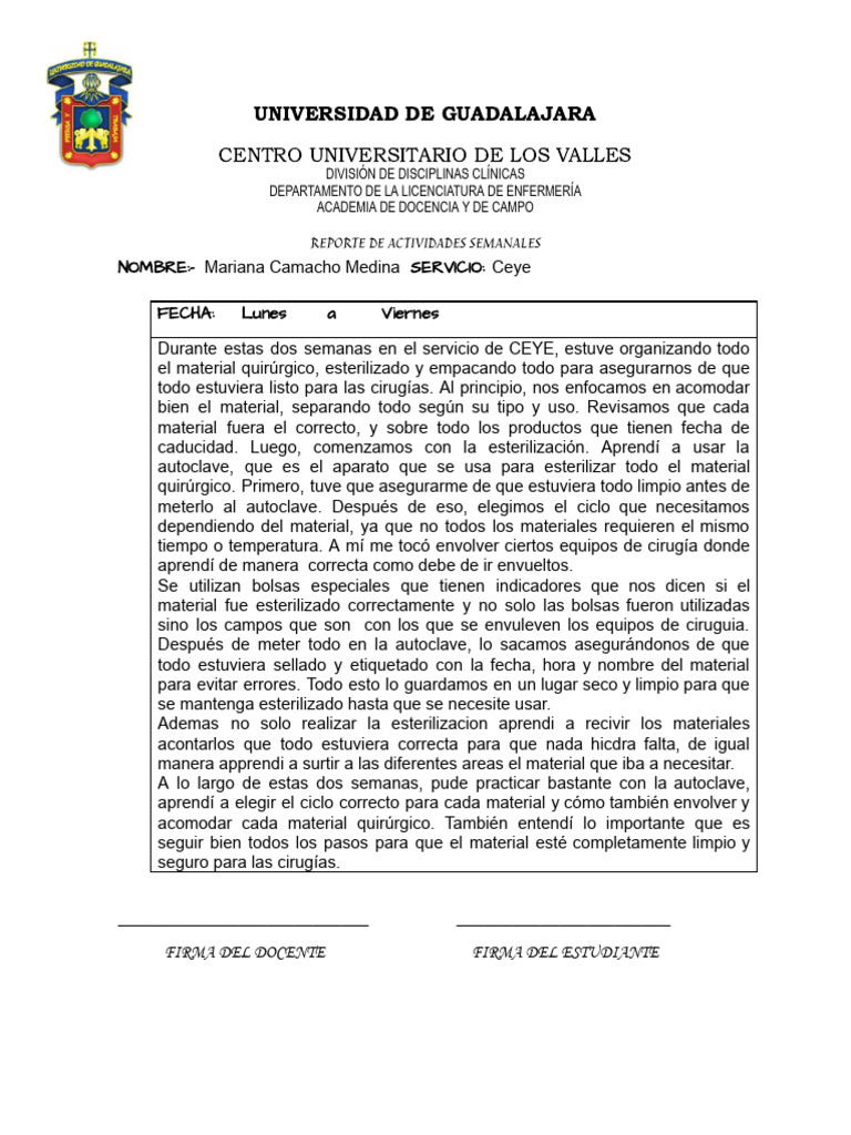 Hoja de Reporte Final | PDF