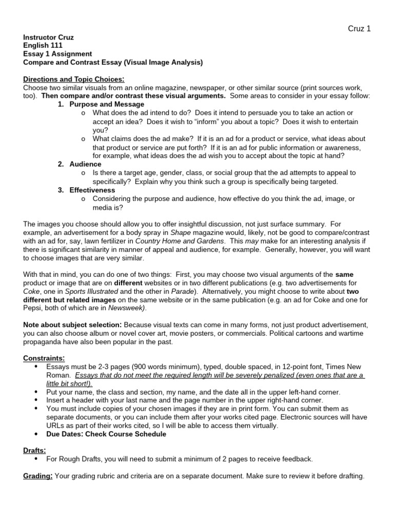 111 Essay#1Assignment Instructions | PDF | Advertising | Essays