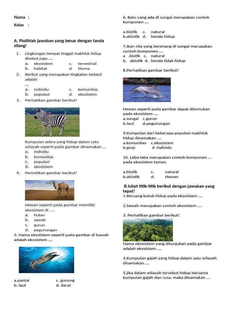 Latihan Soal Ekosistem Kelas 3 Kumer | PDF