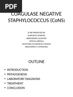 COREQ: 32-Item Checklist for Qualitative Research | PDF | Focus Group ...