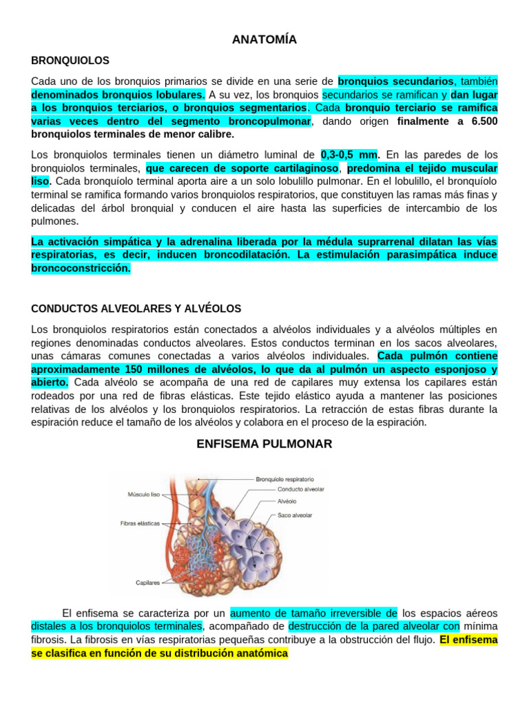 Anatomía y Enfisema Pulmonar | PDF | Inflamación | Pulmón