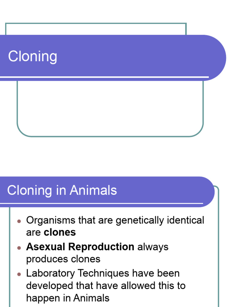Overview of Animal and Human Cloning | PDF