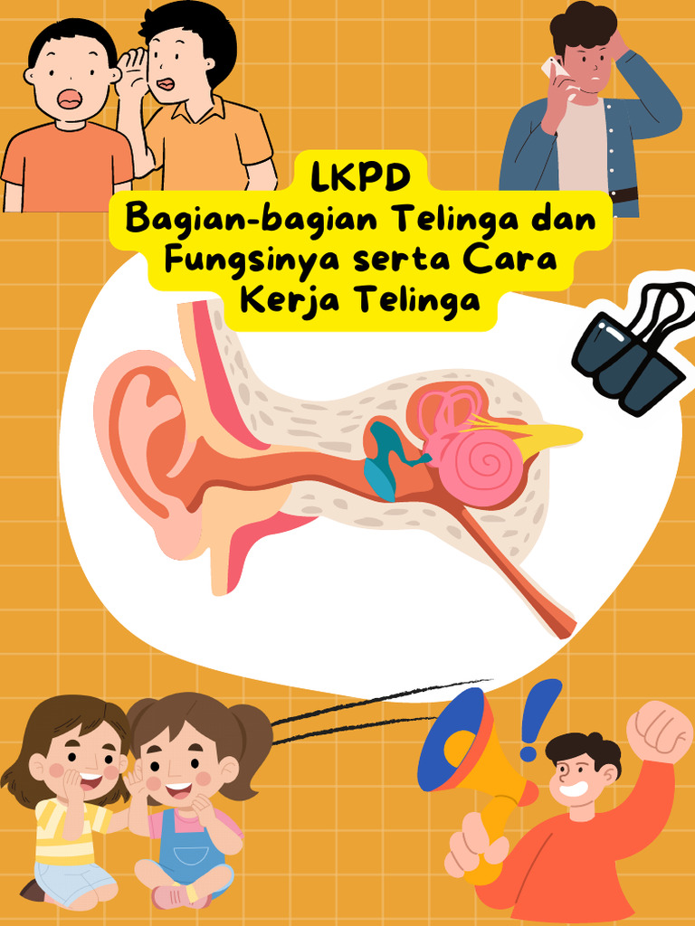 Bagian-Bagian Telinga | PDF