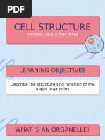 Cell Organelles Detailed Notes | PDF | Endoplasmic Reticulum | Cell ...