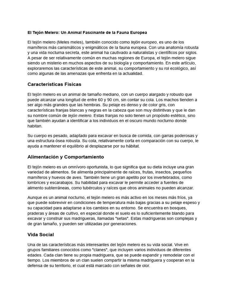 El Tejón Melero_ Un Animal Fascinante de la Fauna Europea | PDF | Zoología
