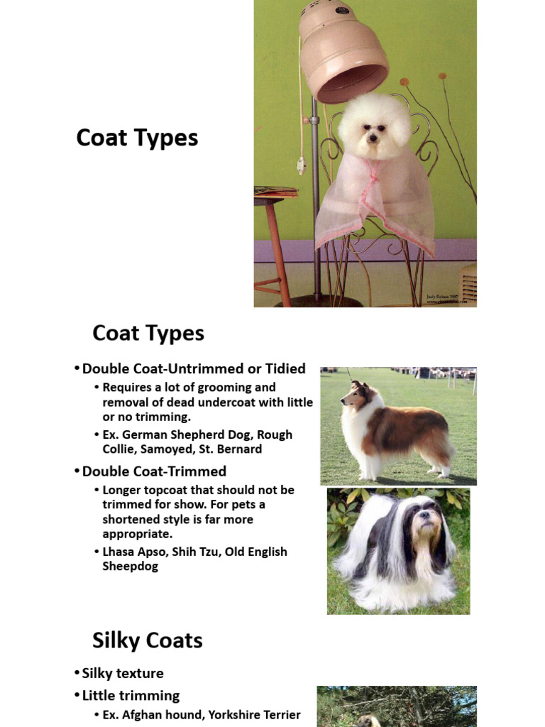 9 Coat Types | PDF
