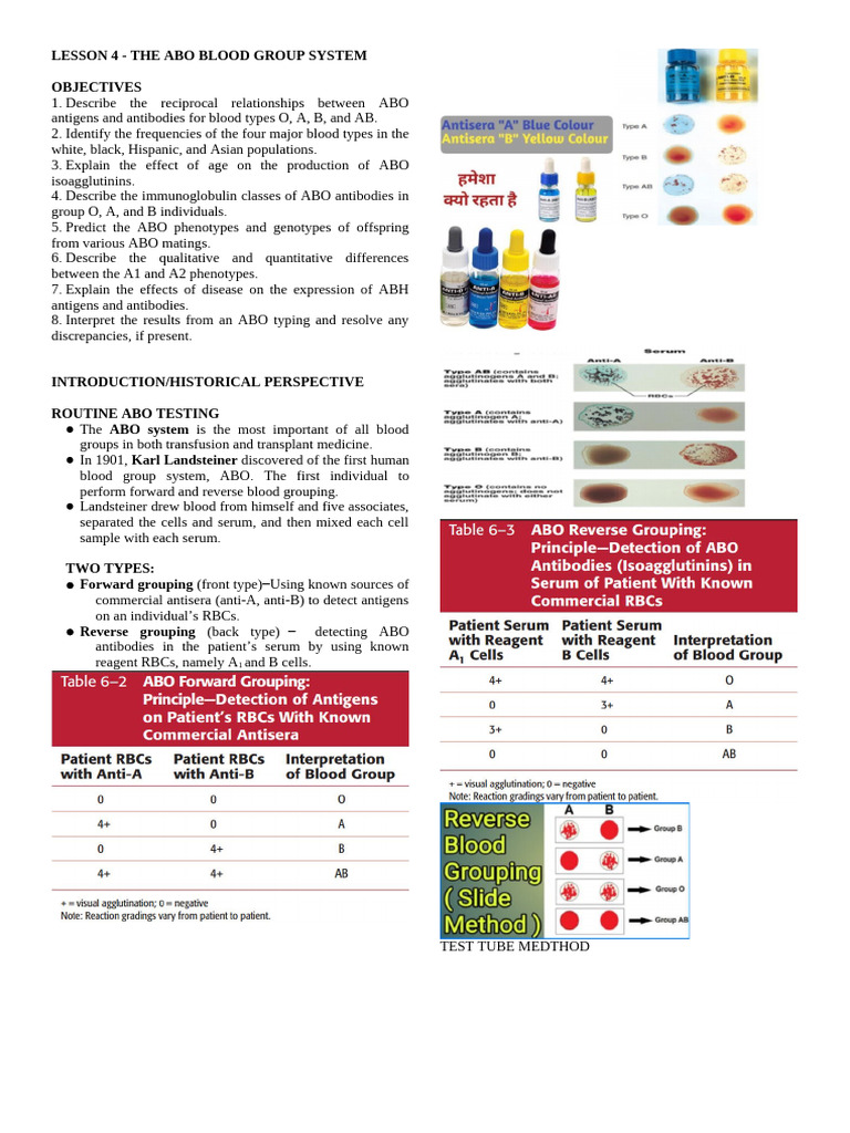 Lesson 4 - Abo Blood Group System | PDF | Blood Type | Medical Specialties