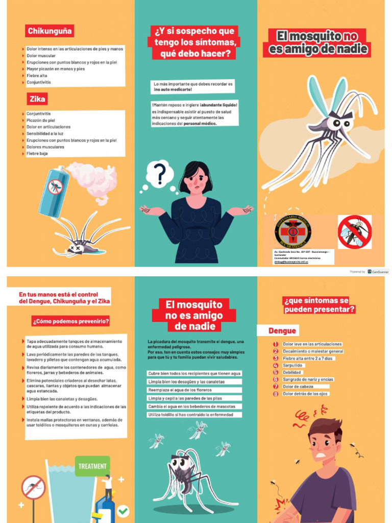 FOLLETO DENGUE | PDF