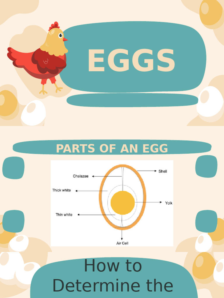 Freshness Testing for Eggs | PDF
