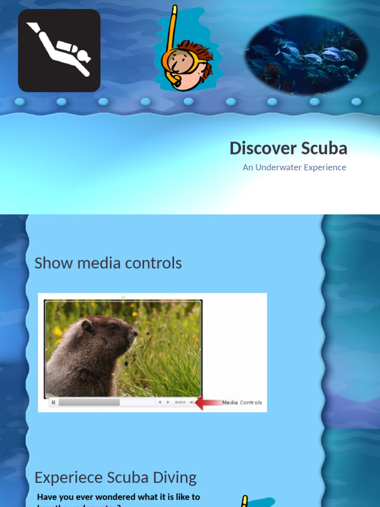 Discover Scuba Diving Experience | PDF