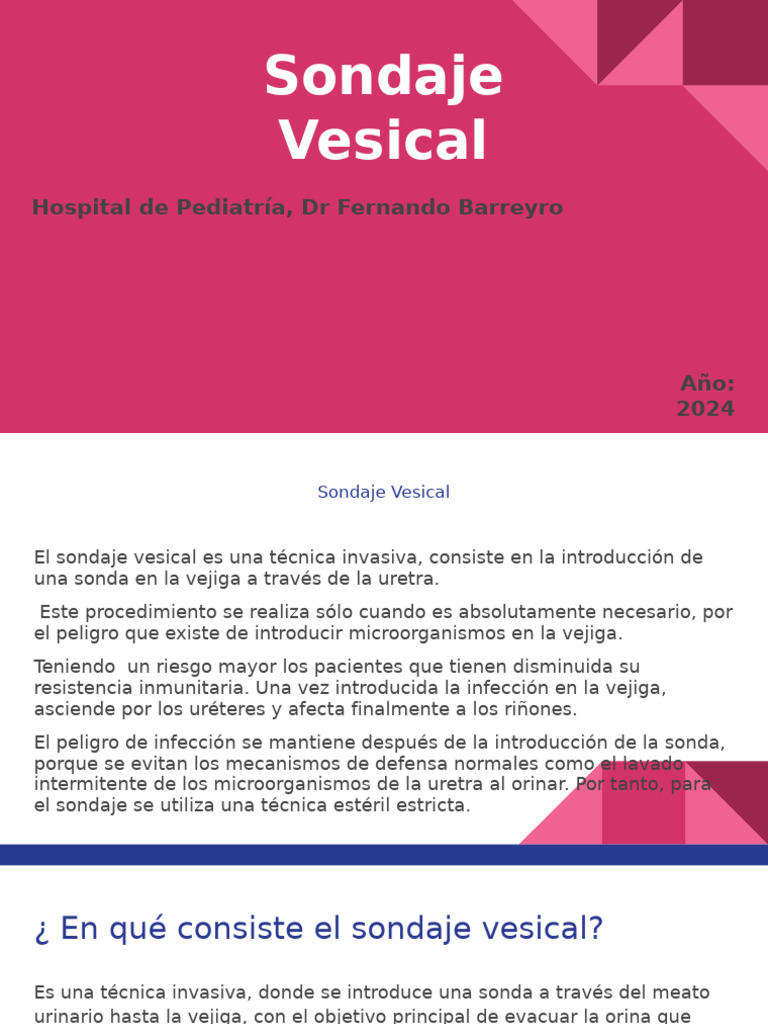 Guía Completa sobre Sondaje Vesical | PDF | Sistema urinario | Lavado ...