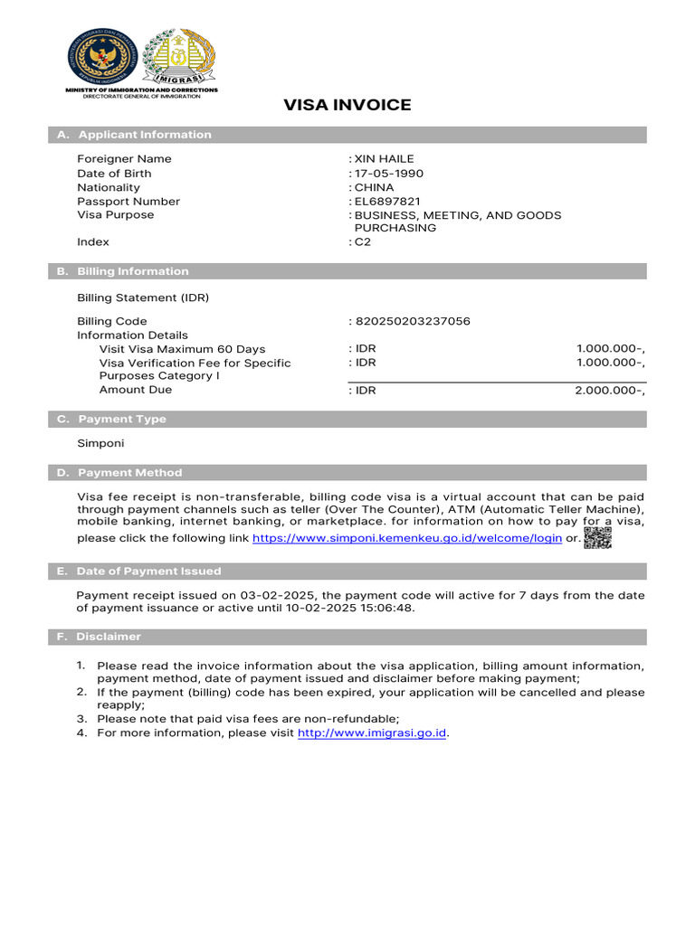 Visa Invoice for Business Application | PDF