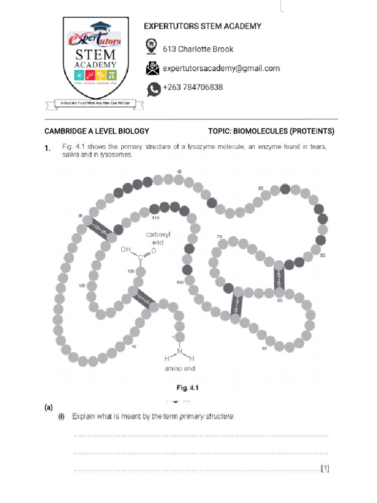 Biomolecules Worksheet 2 A Level Bio | PDF