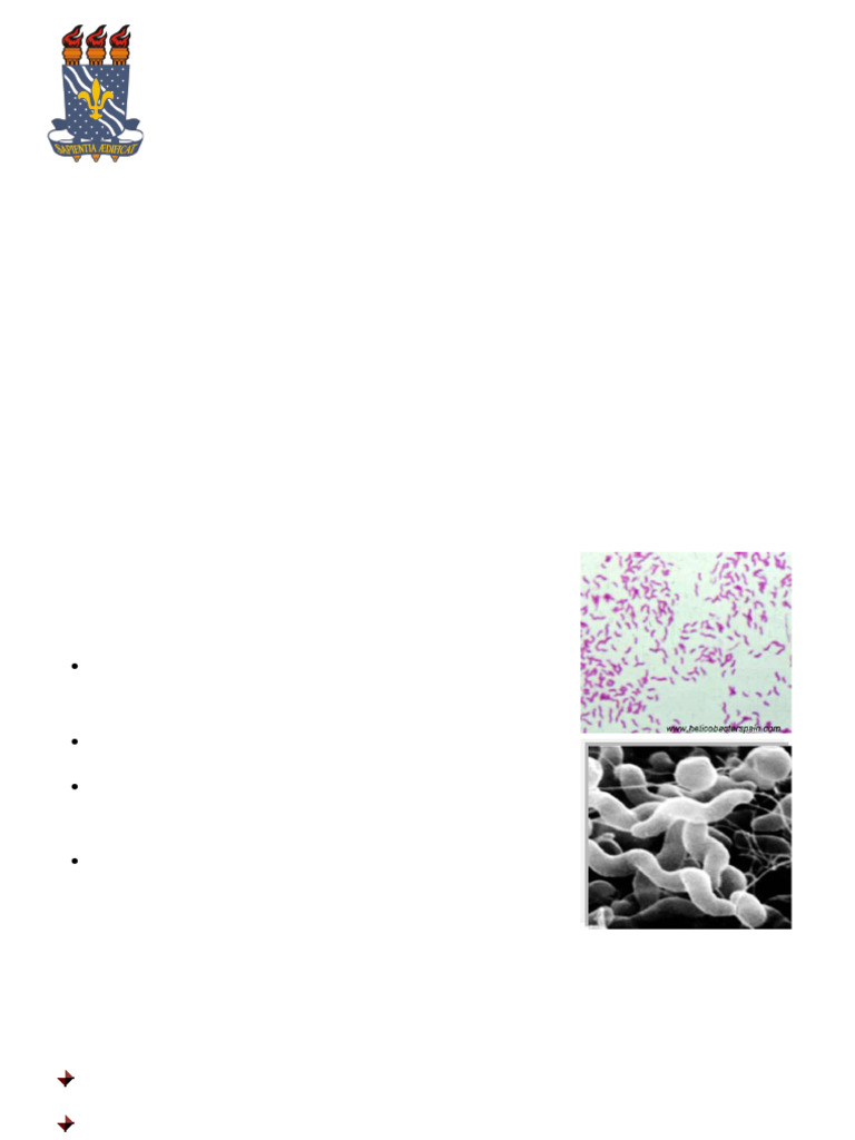 Doenças por Espirilos: Helicobacter e Campylobacter | PDF | Medicina ...